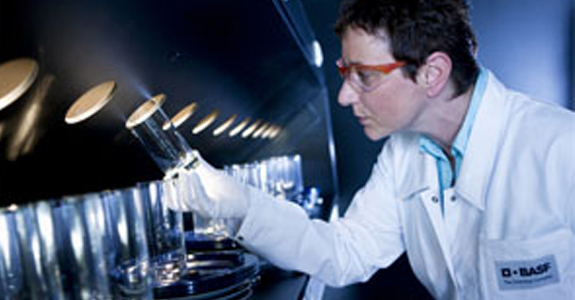 Petrobras sai de ranking e Basf é mais valiosa do setor | DOM Strategy ...