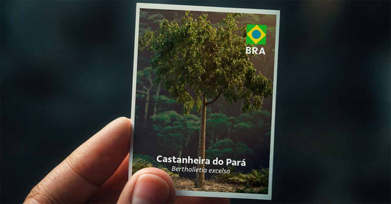 Vale lança álbum de figurinhas da COP para destacar biodiversid