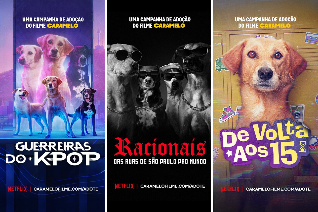 Netflix estimula adoção com cães em seus títulos